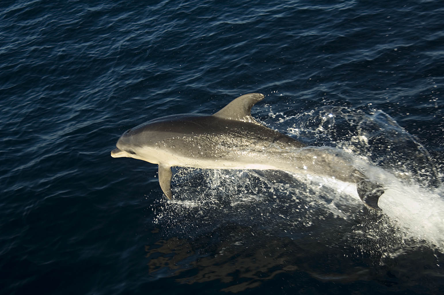Discover the Ecuadorian Wonders in Galapagos. SHARED 11d/10n ...